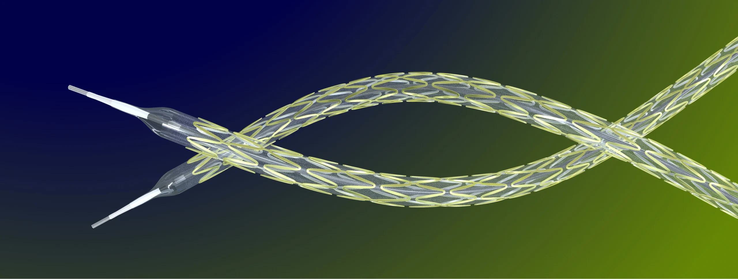 Drug Eluting Stents DES Sirolimus Stent Technology Drug Eluting Stents DES Sirolimus Stent Technology
