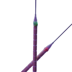 Abluminus DES+: Sirolimus Eluting Stent - Coronary Stent